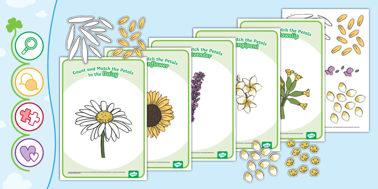 Flower Petals Matching Game