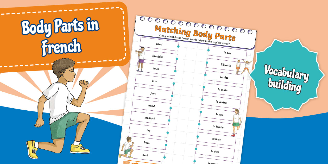 * NEW * Body Parts in French Matching Worksheet
