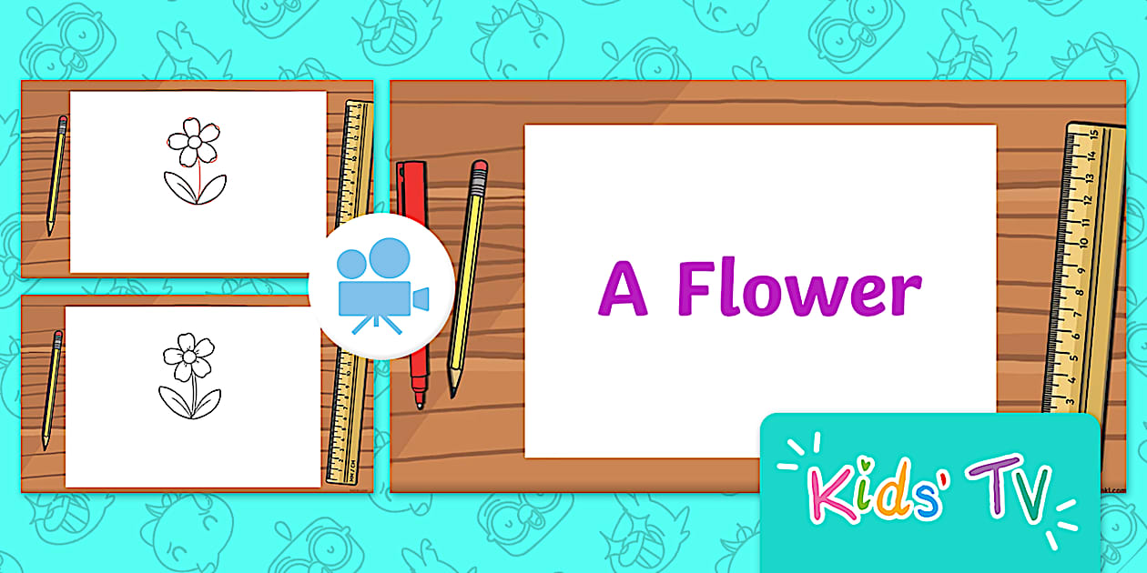 How to Draw Flowers | Twinkl Kid's TV (teacher made)