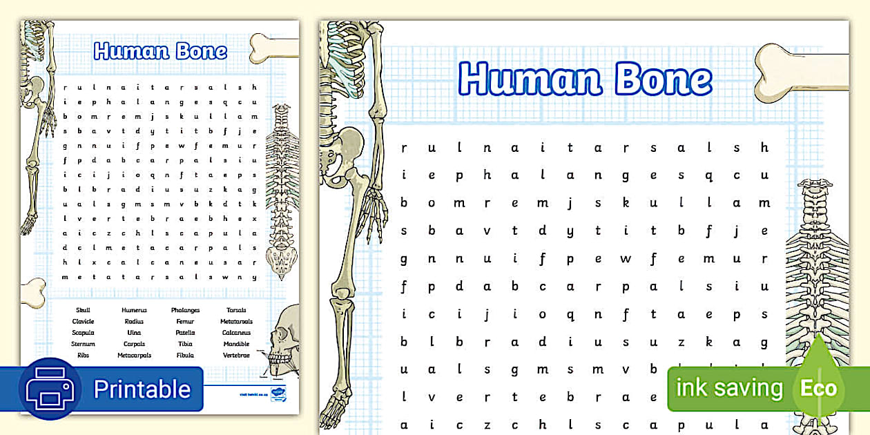 Human Bone Wordsearch (teacher made) - Twinkl