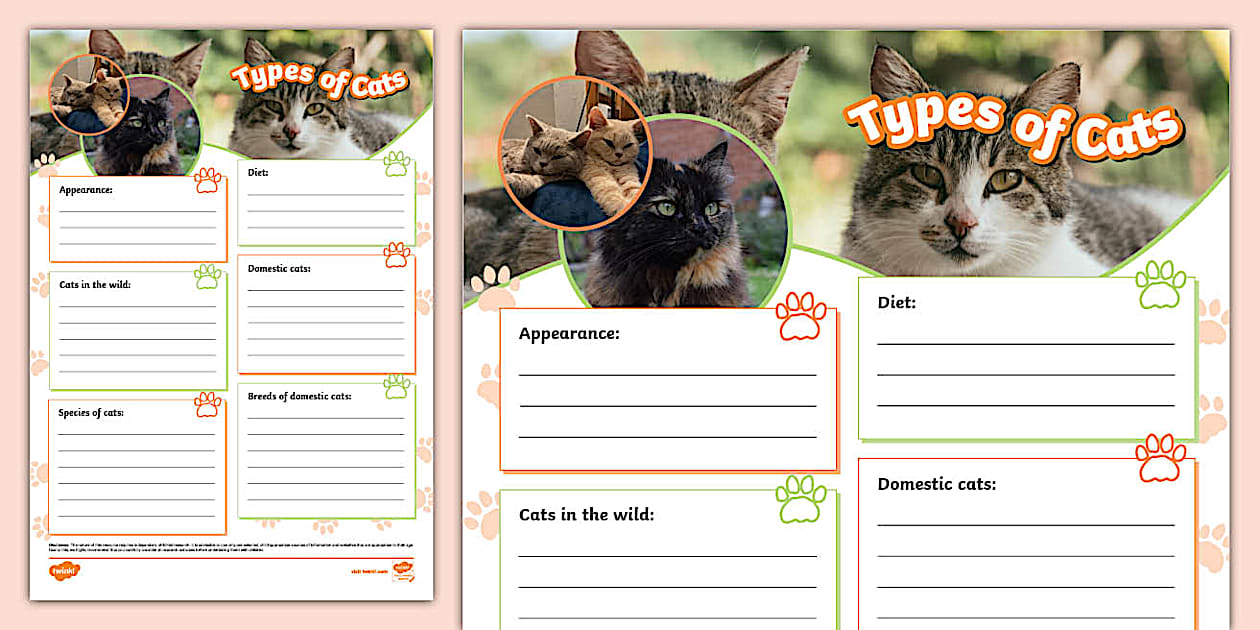 Types of Cats Fact File Template (Teacher-Made) - Twinkl