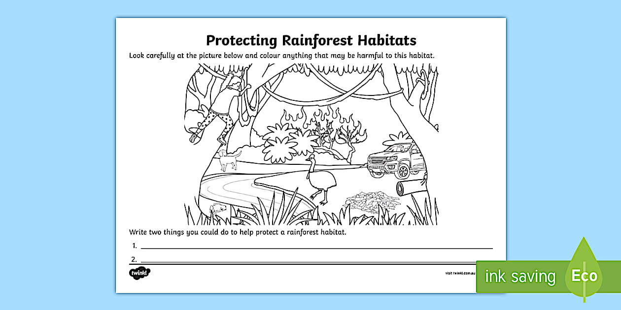 Protecting Rainforest Habitats Worksheet / Worksheet