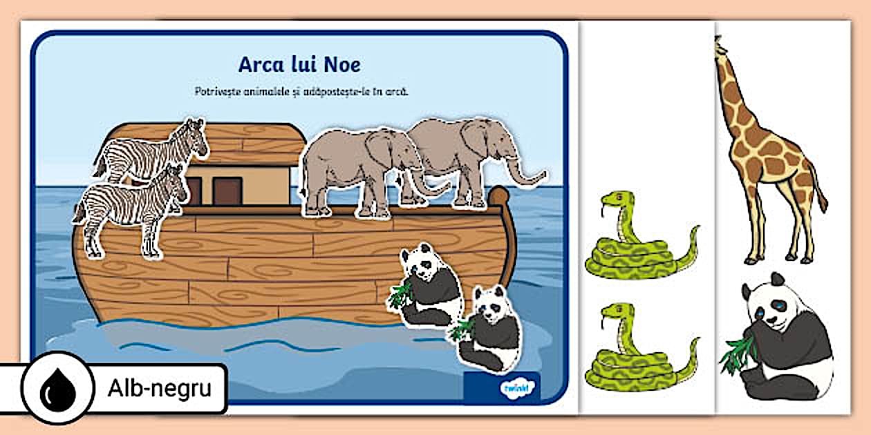 Povestea Arca lui Noe – Activitate practică - Twinkl