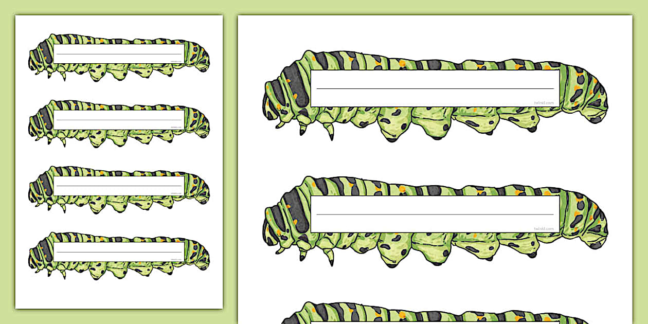 Caterpillar Name Tags (teacher made) - Twinkl