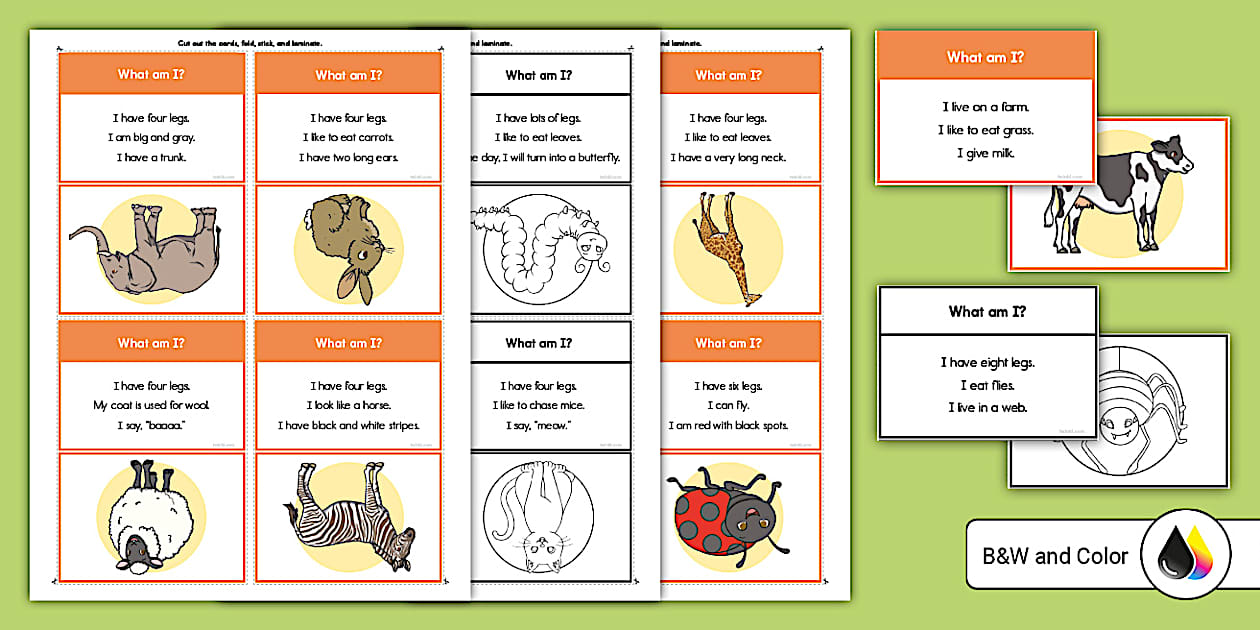 What Animal Am I? Animal Guessing Game | Twinkl Resource