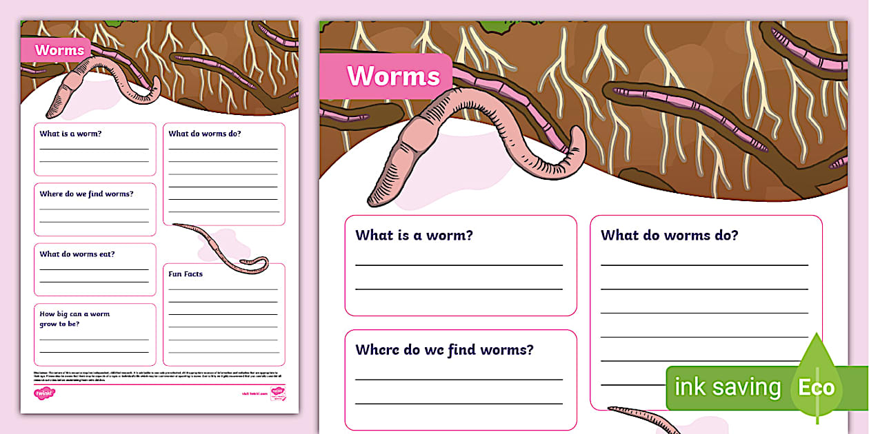 Worms Fact File (teacher made) - Twinkl
