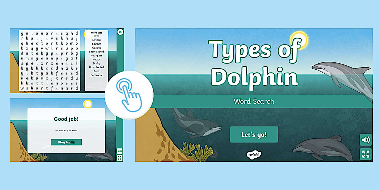 Types of Dolphins Word Search | Twinkl KS1 | World Ocean Day