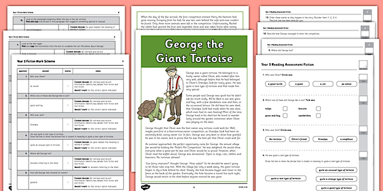 Editable Year 3 Term 1 Fiction Reading Assessment - Twinkl