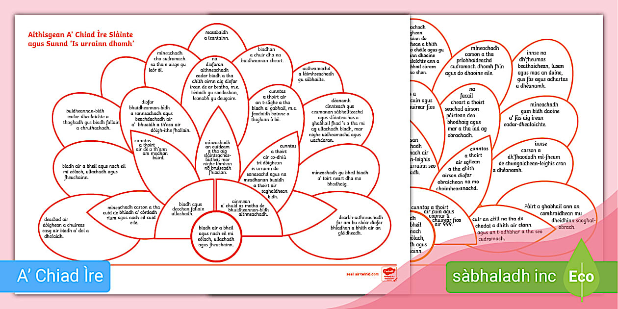 A' Chiad Ìre Slàinte agus Sunnd - Flùr fèin-measaidh