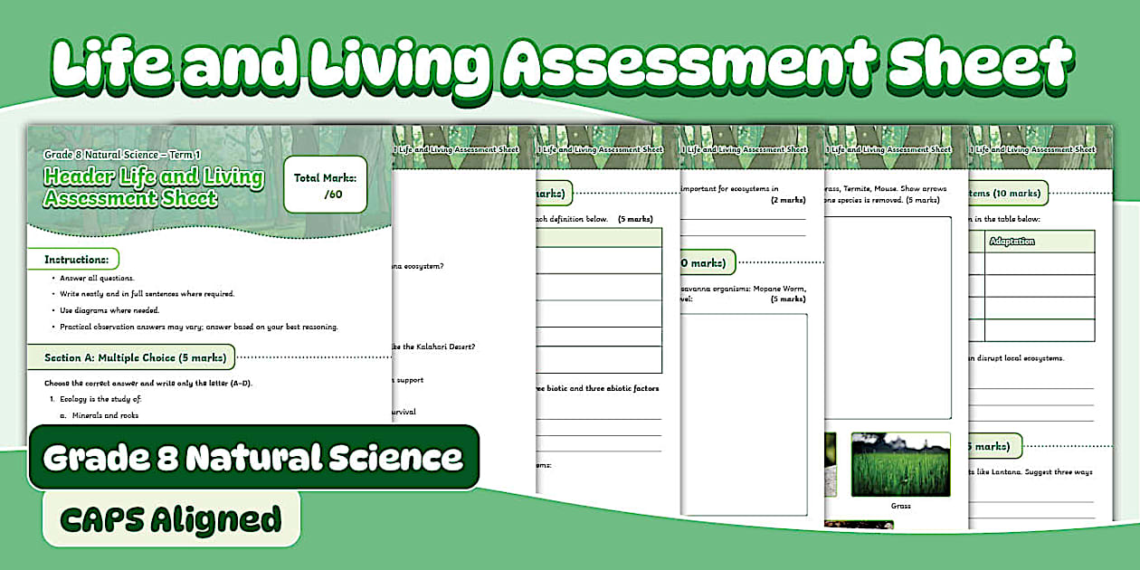 Grade 8 Natural Science Life and Living Assessment Sheet