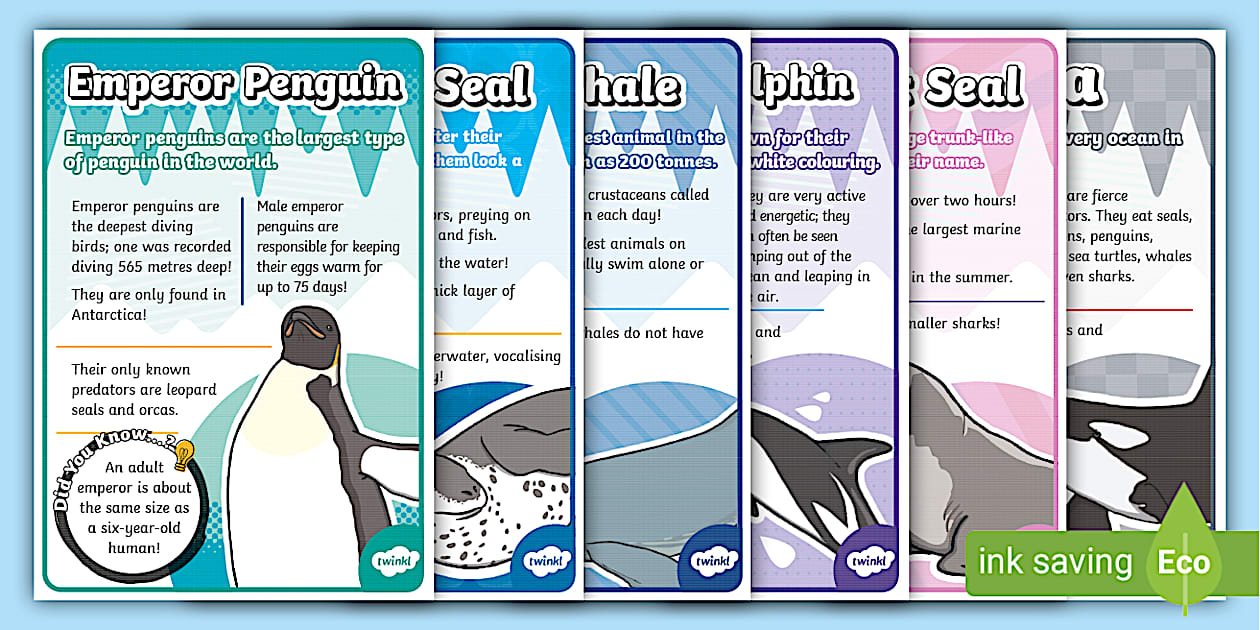 Antarctic Animal Display Facts Posters (Teacher-Made)