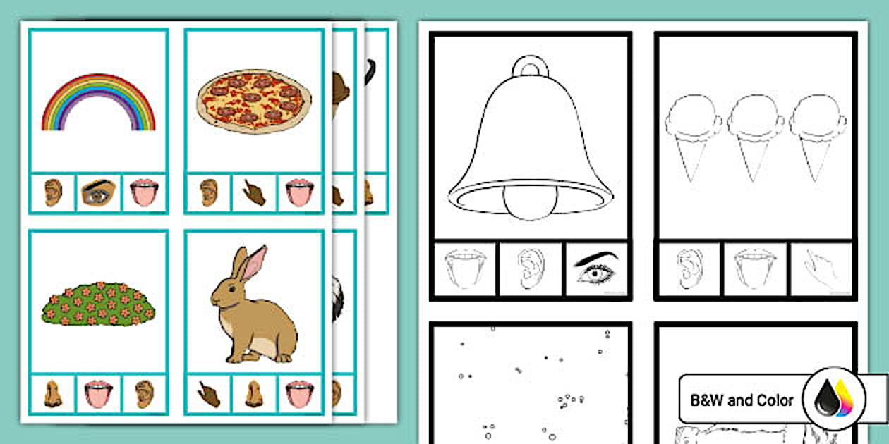 Five Senses Clip Cards