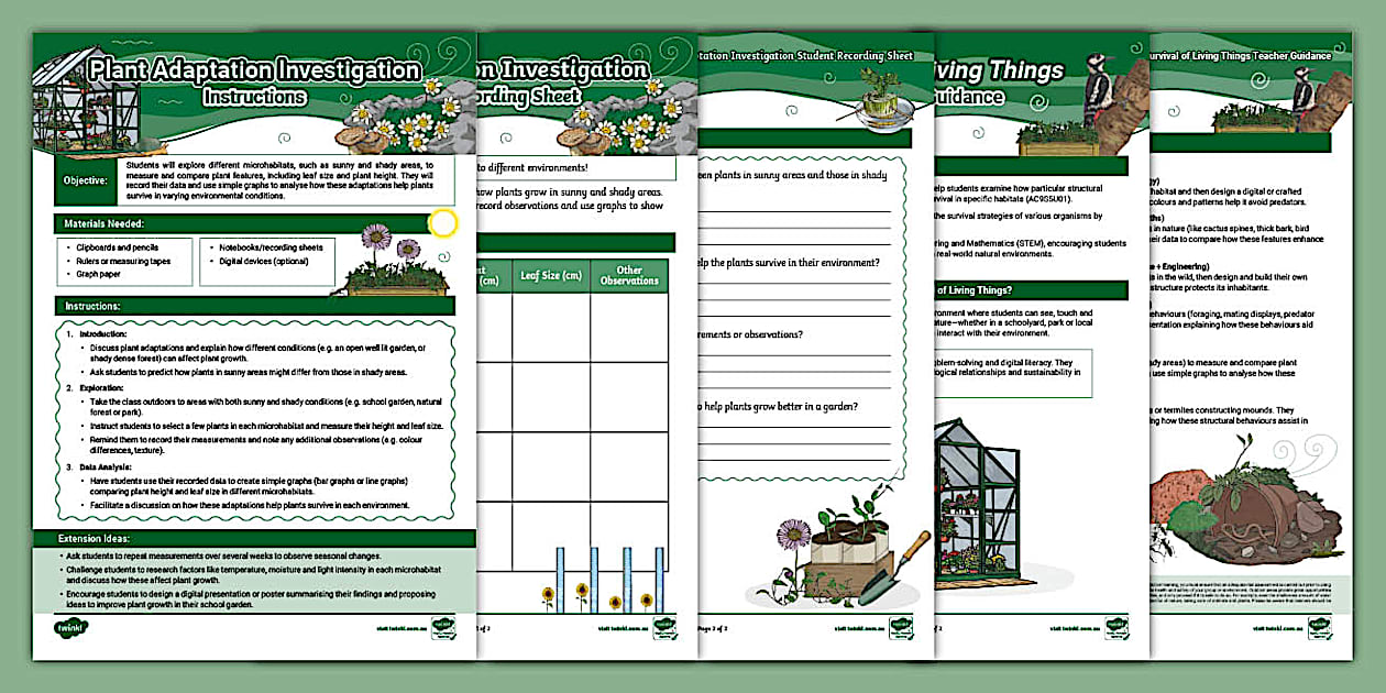 STEM Outdoors: Plant Adaptation Investigation - Twinkl