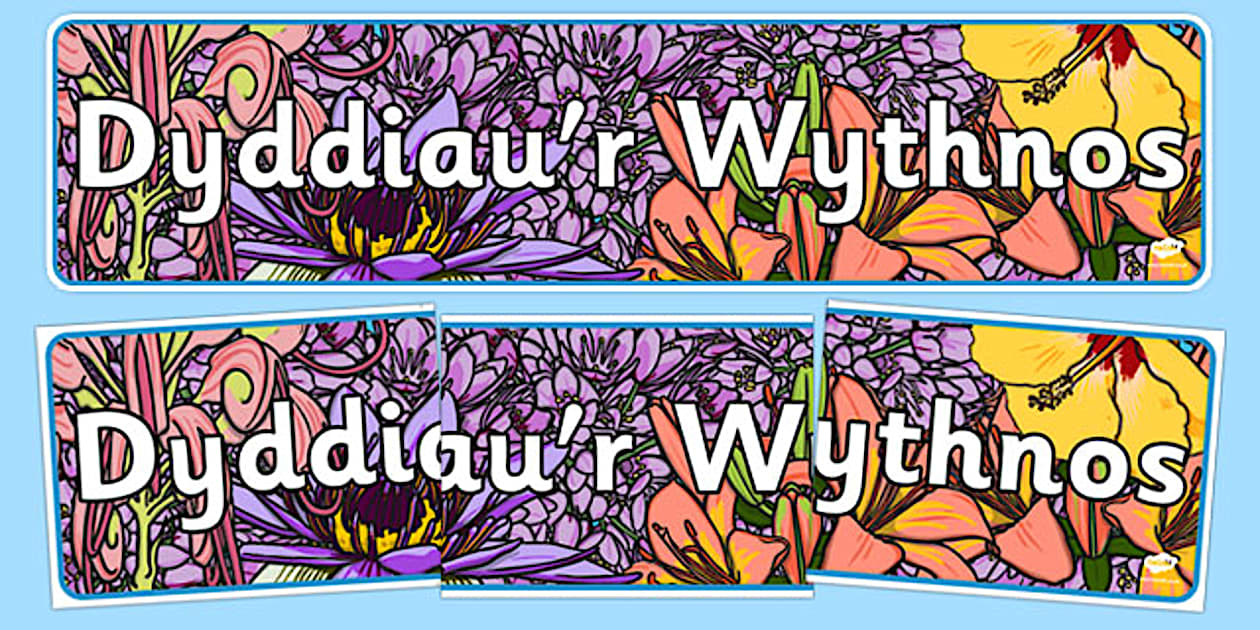 Dyslexic Days of the Week Display Banner Flower Background Cymraeg