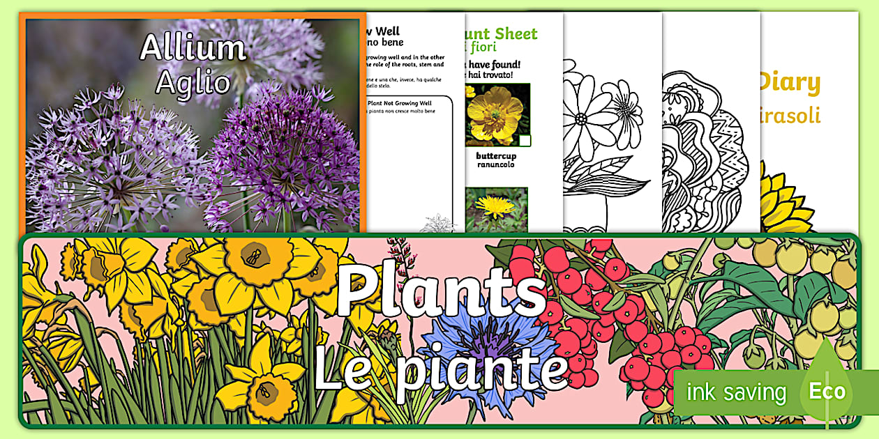 Top 10 Plants Resource Pack English/Italian (teacher made)