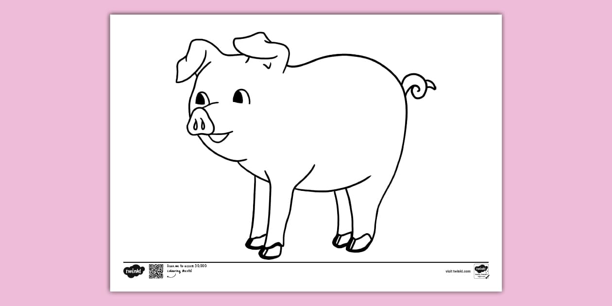 Pig Colouring Sheet | Colouring Sheets (teacher made)