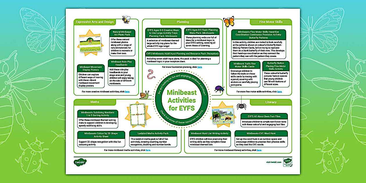 EYFS Minibeast Activities | Twinkl (teacher made) - Twinkl