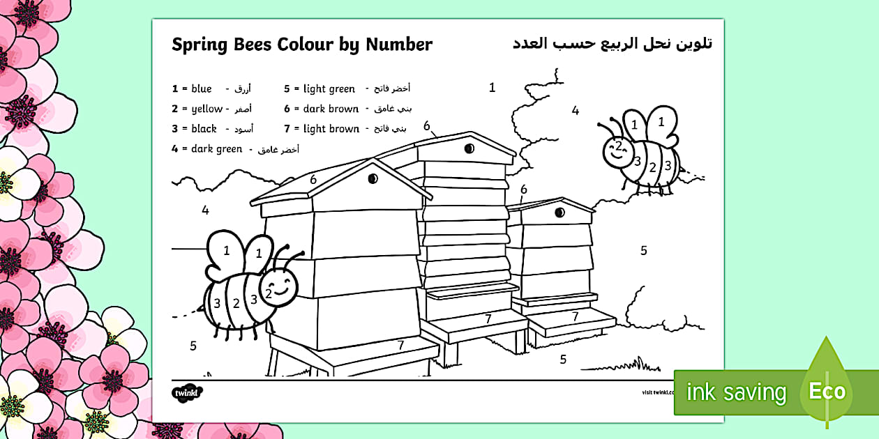 Spring Bees Colour by Number Arabic/English (teacher made)