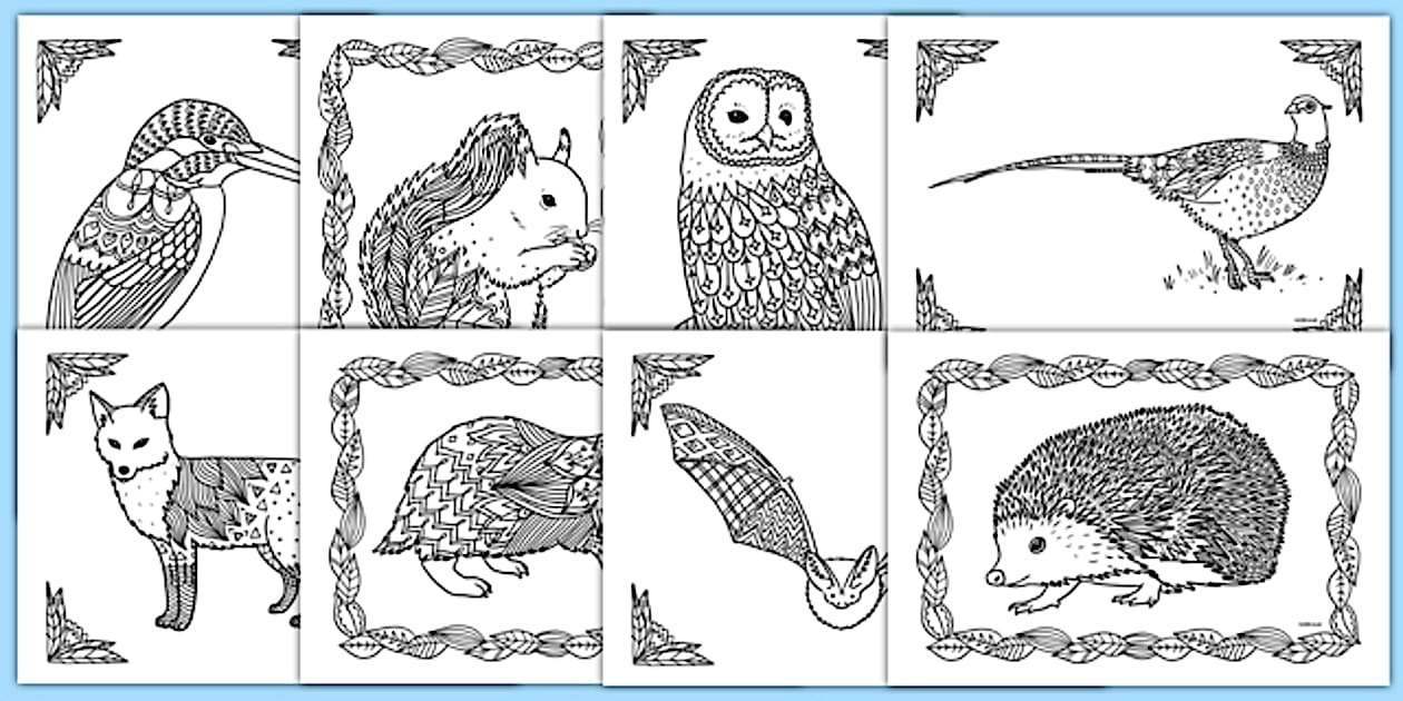 British Wildlife Mindfulness Colouring Sheets - Twinkl