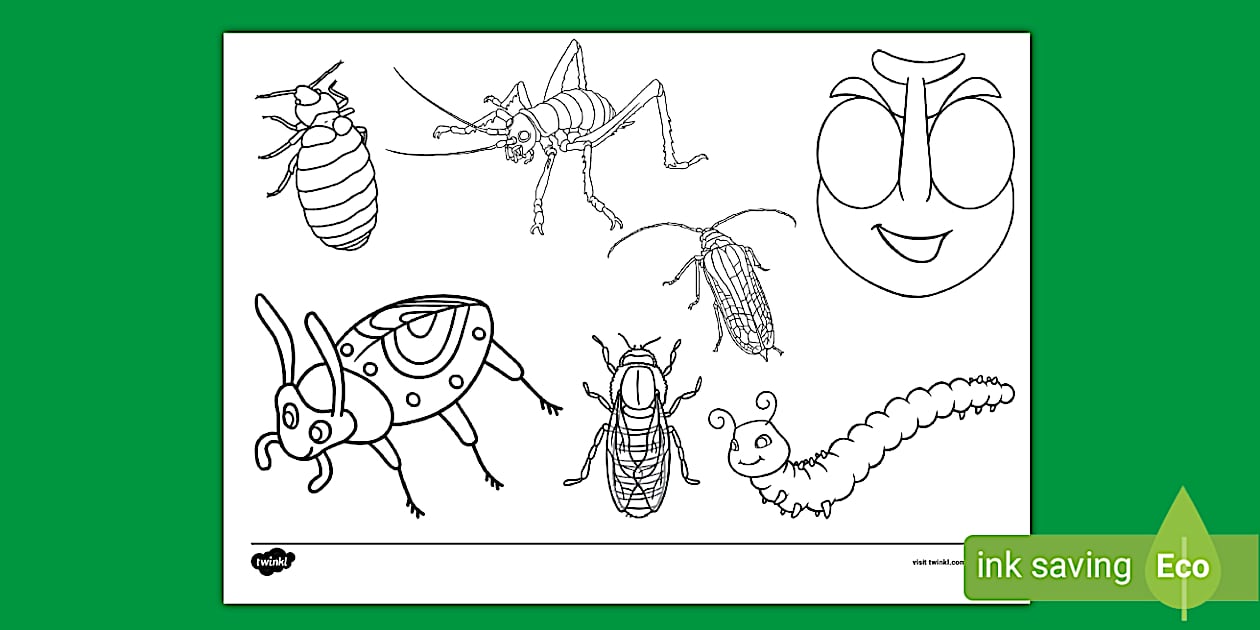 Bug Doodle Colouring Page (teacher made) - Twinkl