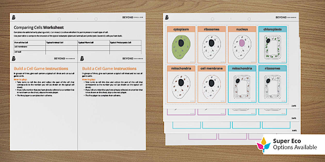 Build a Cell Card and Dice Game | Biology | Beyond Science