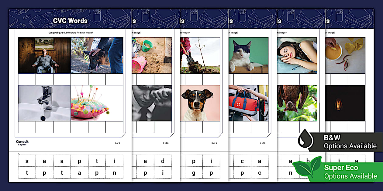 Reinforcing CVC Words: Cut and Stick Activity (teacher made)