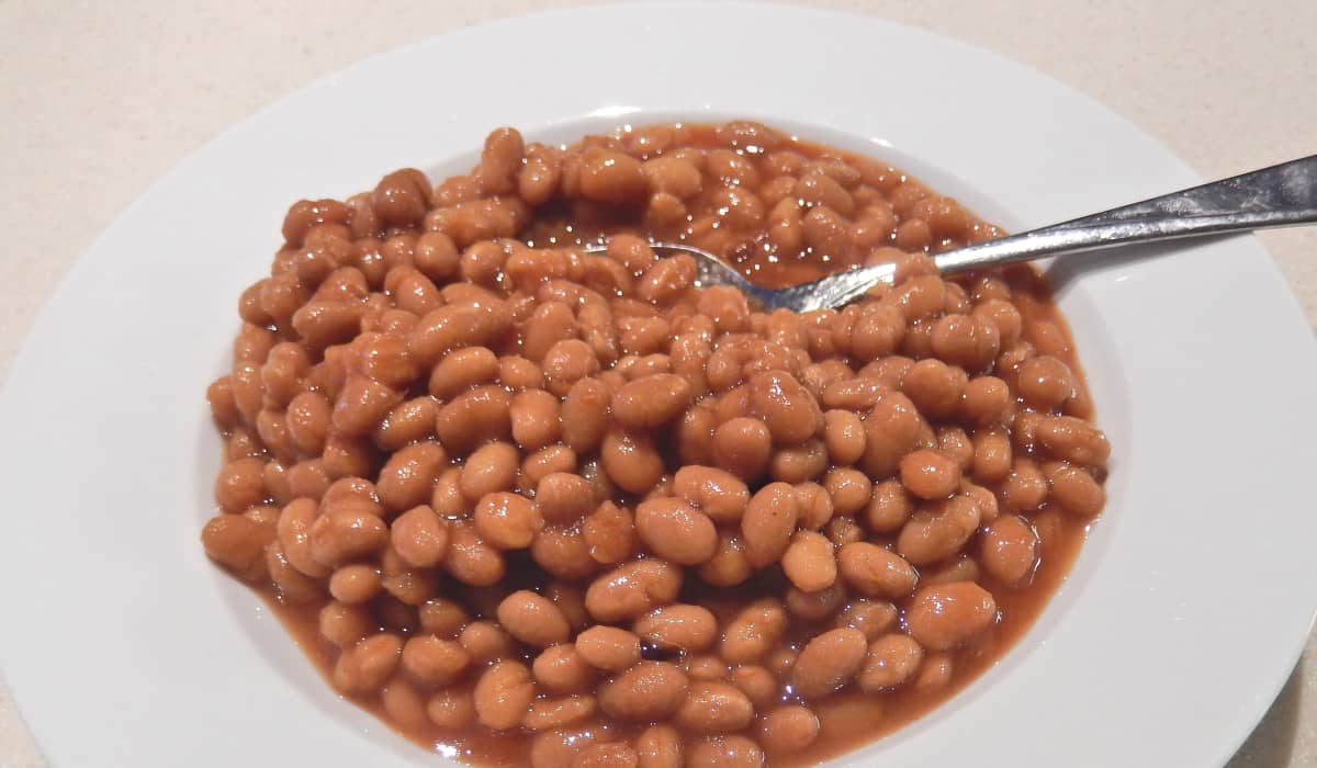 Baked Beans Could Soon Be Grown in Britain - Twinkl NewsRoom