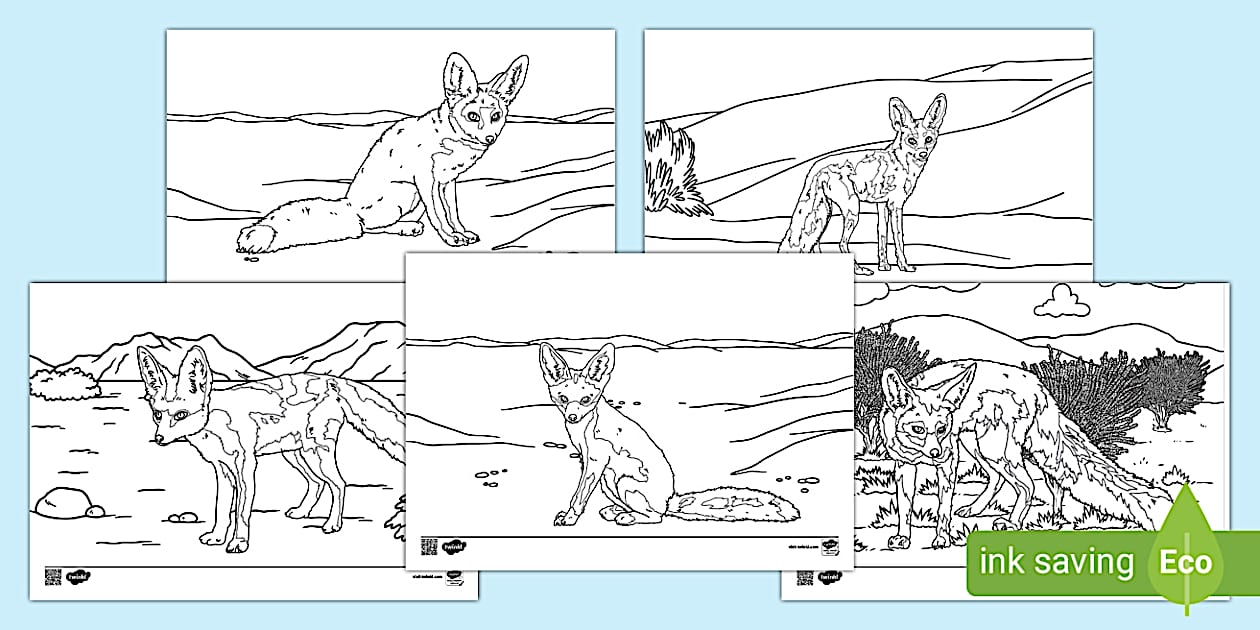 Rüppell's Fox Colouring Pages (teacher made) - Twinkl