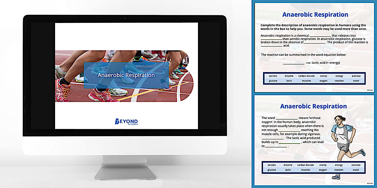 Anaerobic Respiration in Humans Gap-Fill PowerPoint - Twinkl