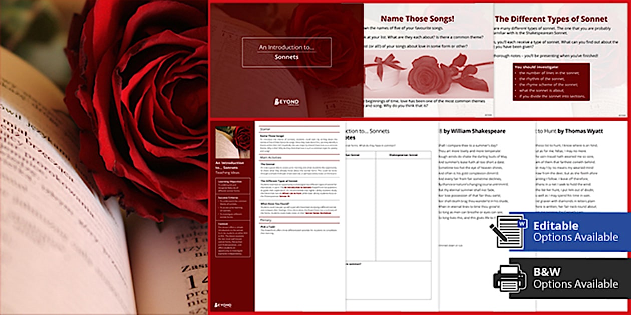 An Introduction To Sonnets Lesson Pack (teacher made)