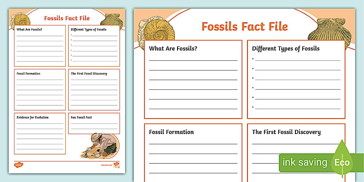Fossils Fact File,fossils (Hecho por educadores) - Twinkl