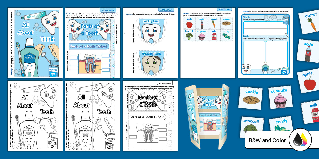 All About Teeth Trifold File Folder Activity for PK-K