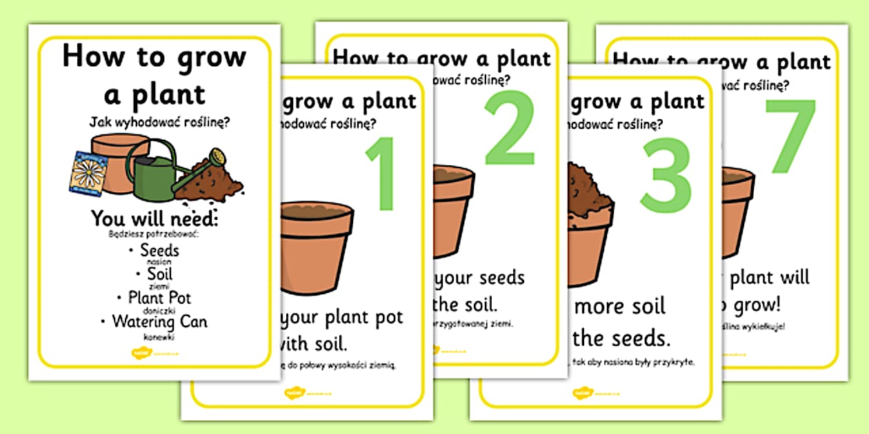 How to Grow a Plant Posters Polish Translation - Twinkl