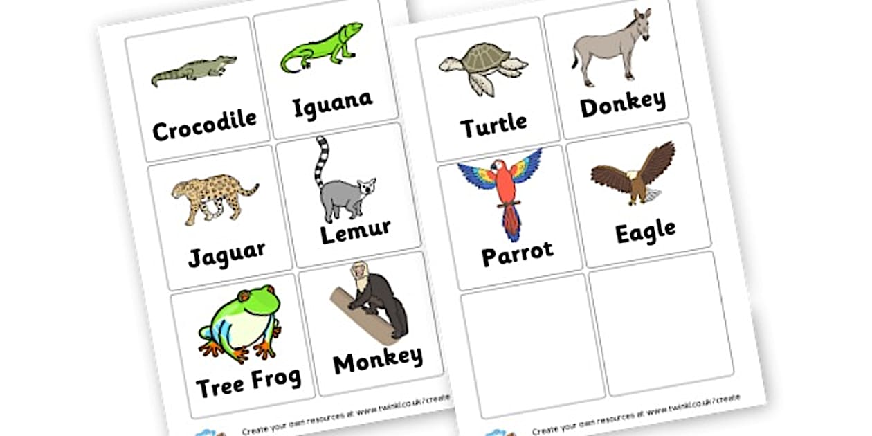 Mexican Animals Cards - Primary Resources