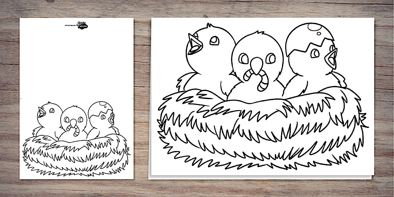 Baby Birds Spring Colouring Card | Twinkl Party - Twinkl