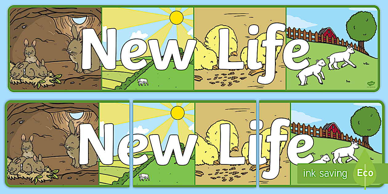 👉 New Life Display Banner (profesor hizo) - Twinkl