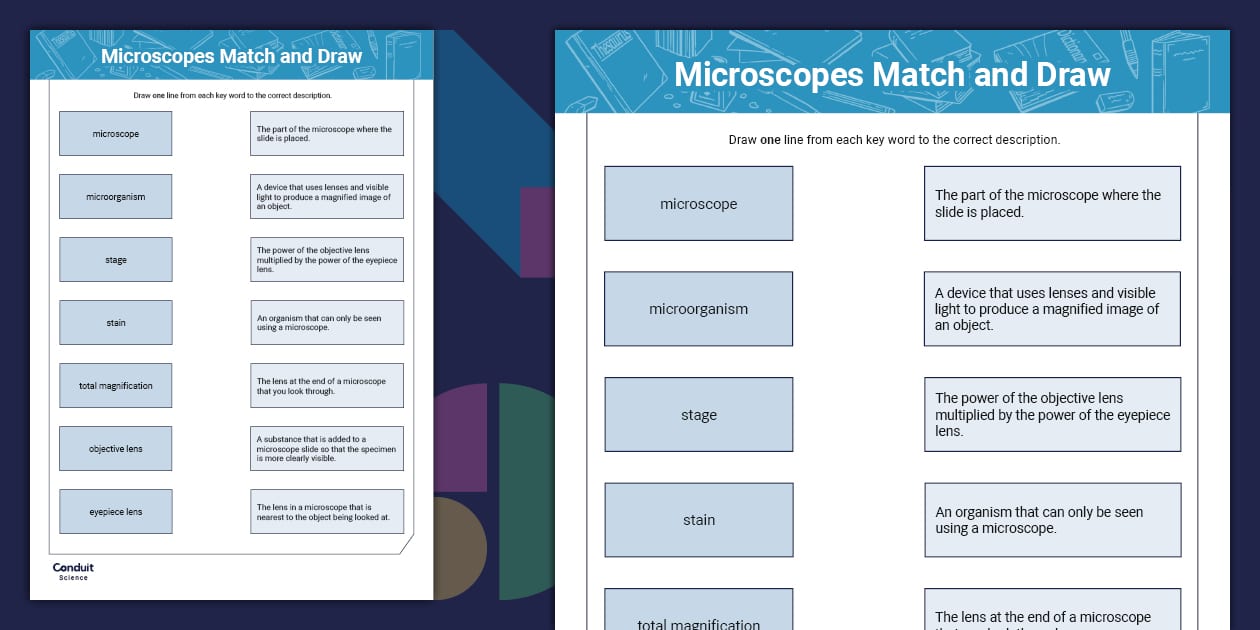 Microscopes: Match and Draw Activity Sheet (teacher made)