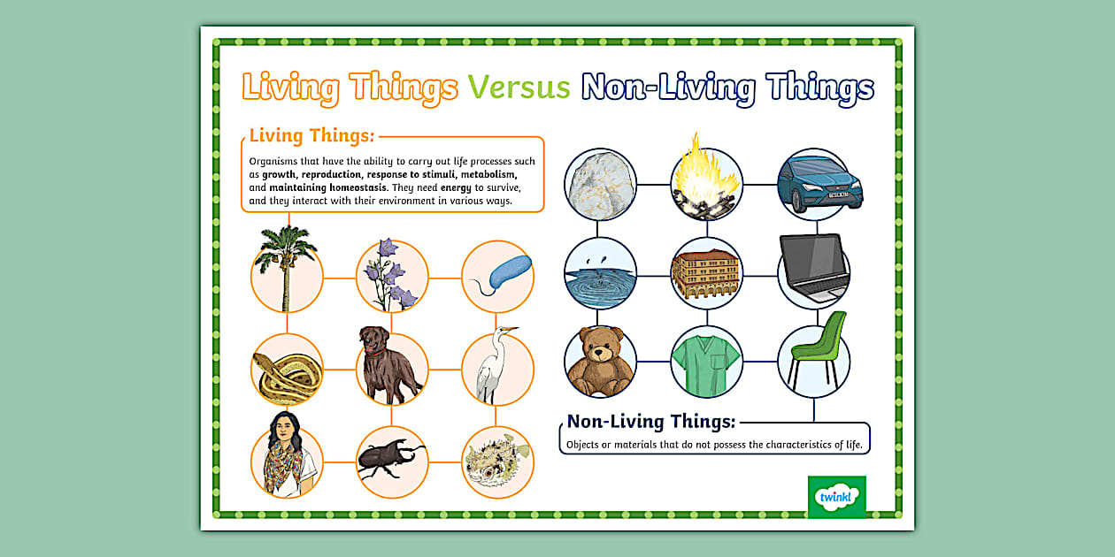 List Of Living Things And Non-Living Things I Resource