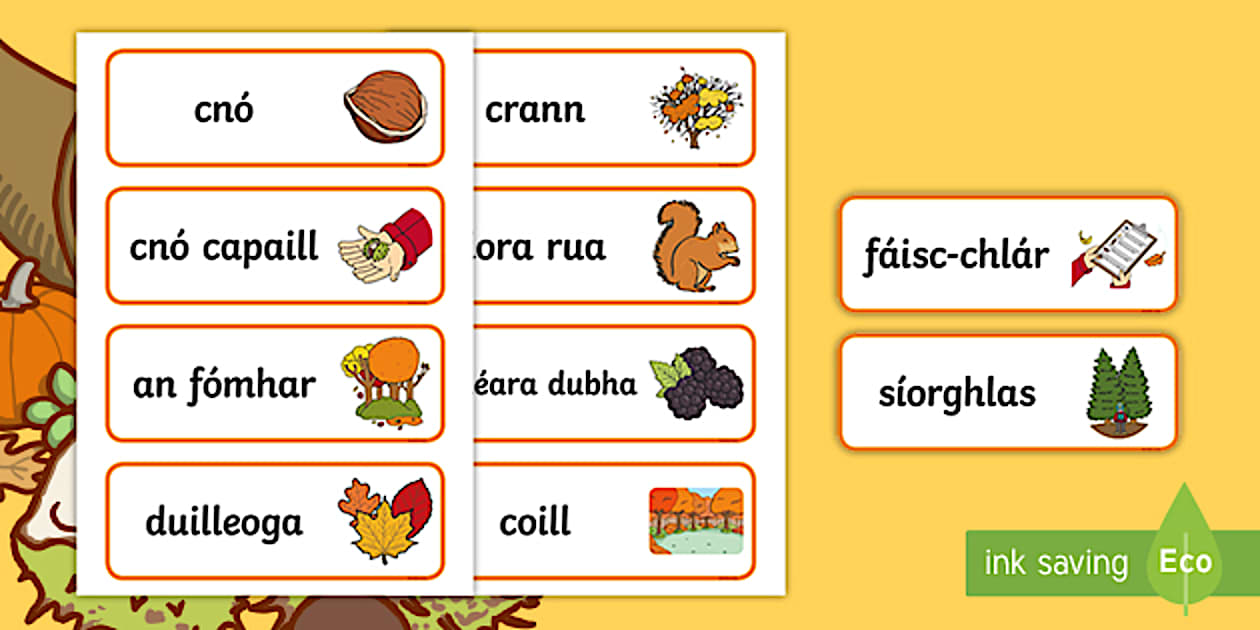 Word Cards - Autumn - Gaeilge