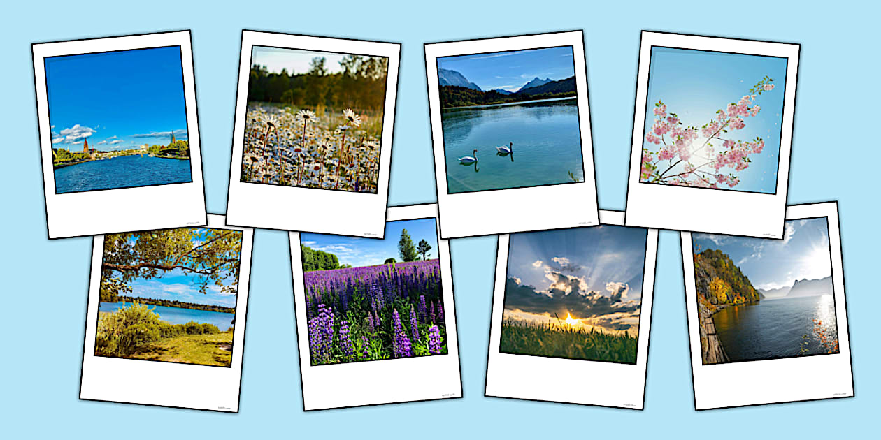 Sunny Day Instant Photo Style Display Images (teacher made)