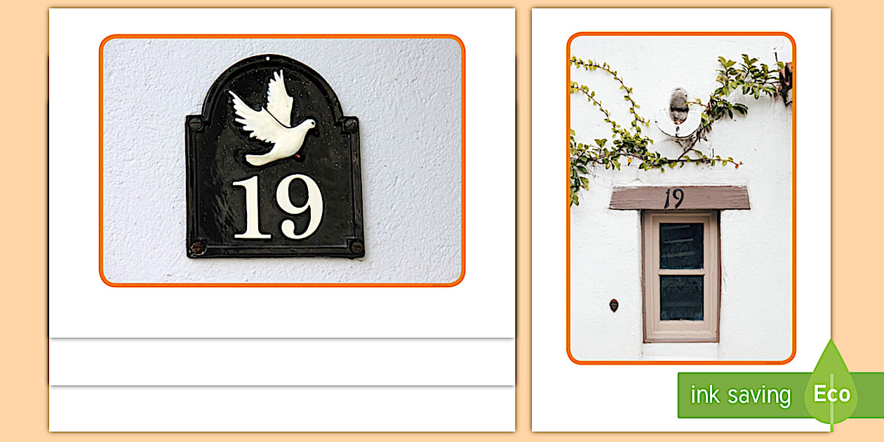 All About Number 19 Display Photo Pack (teacher made)