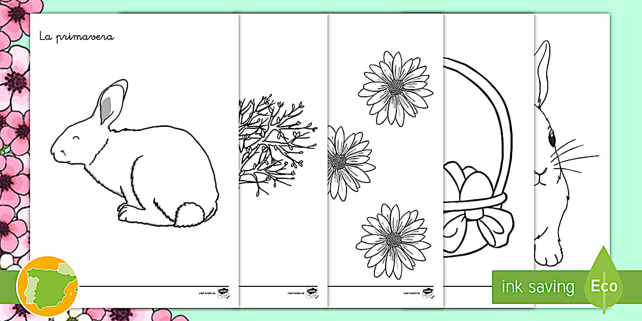 Dibujo primavera para colorear (teacher made) - Twinkl