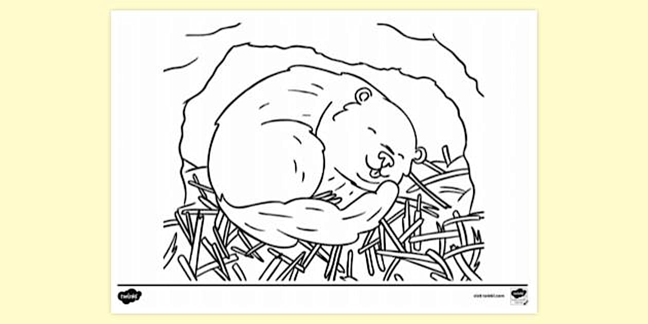 Groundhog Burrow Colouring Sheet | Colouring Sheets - Twinkl