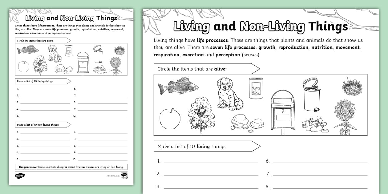 Living and Non-Living Things Activity (teacher made)