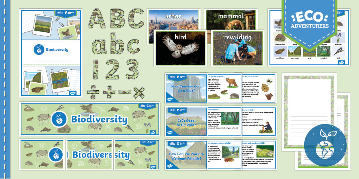 FREE! - Year 5 Biodiversity Display Pack (teacher made)
