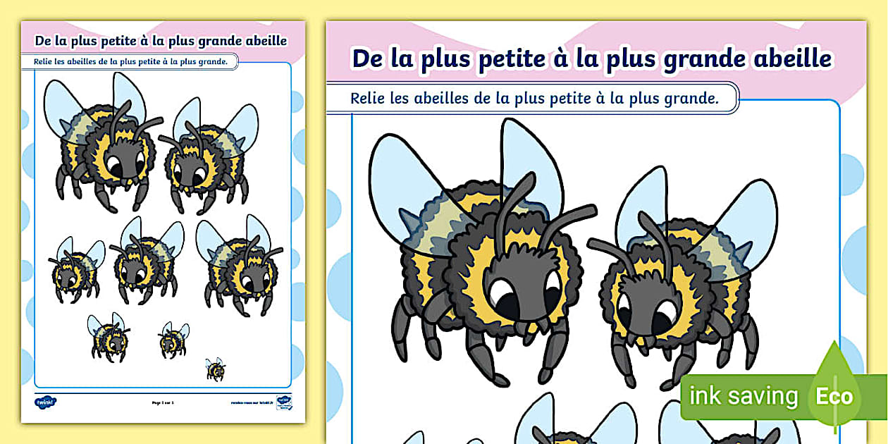 De la plus petite à la plus grande abeille (teacher made)