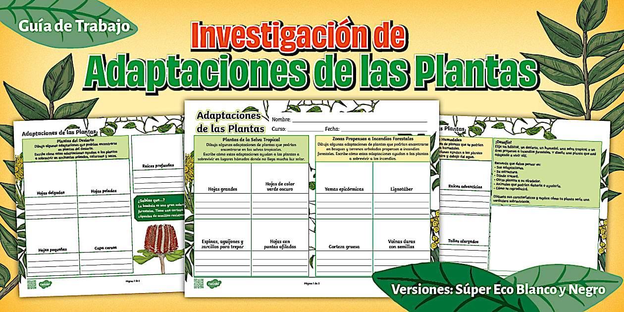 Investigación | Adaptaciones | Plantas | Ciencias | 4°