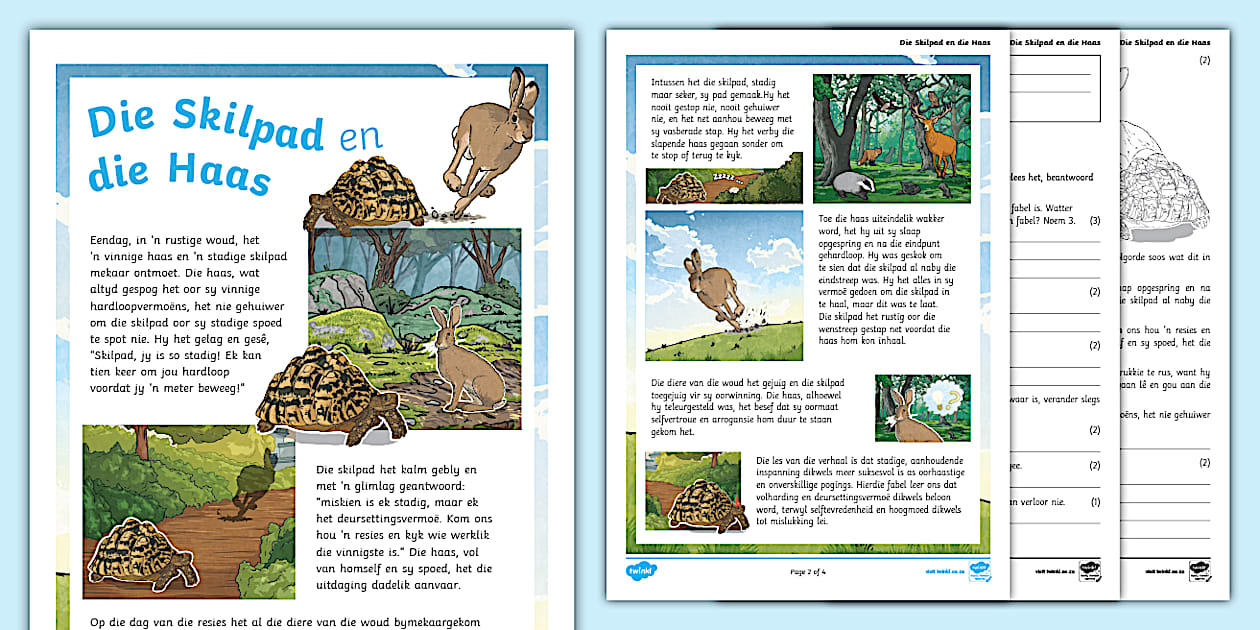 FREE! - Fabel Die Skilpad en die Haas Begripstoets - Twinkl