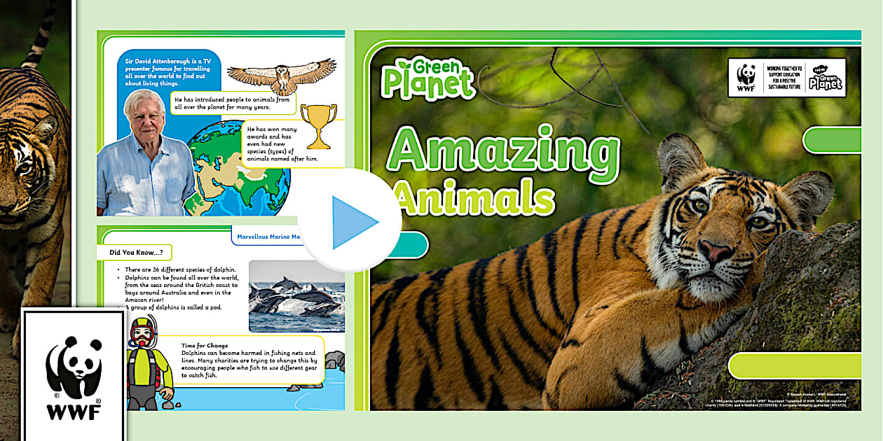 FREE! - WWF: Amazing Animals PowerPoint with David Attenborough [Ages 5-7]
