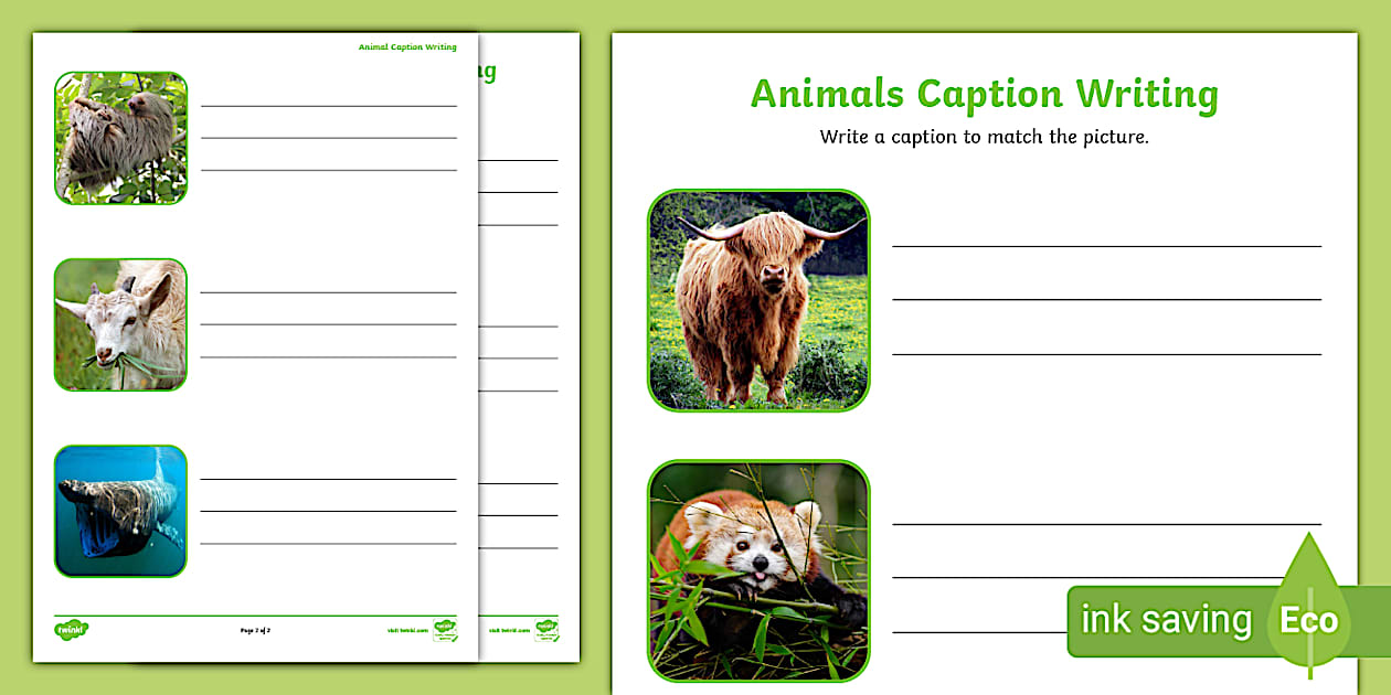 Animals Caption Writing Activity | Twinkl (teacher made)